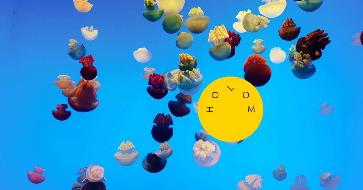 Holom, une histoire collective